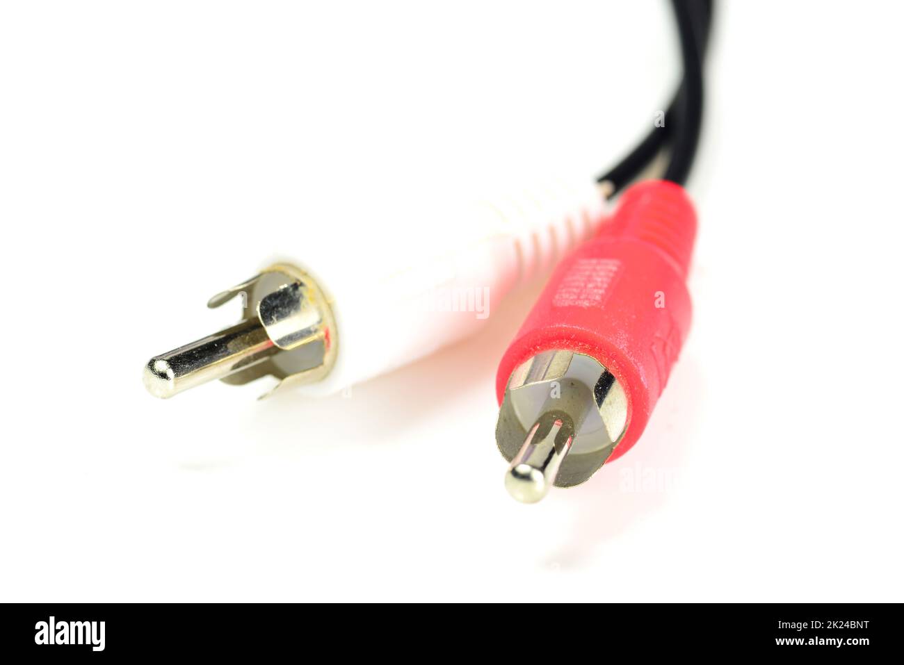 RCA connector in a closeup Stock Photo - Alamy