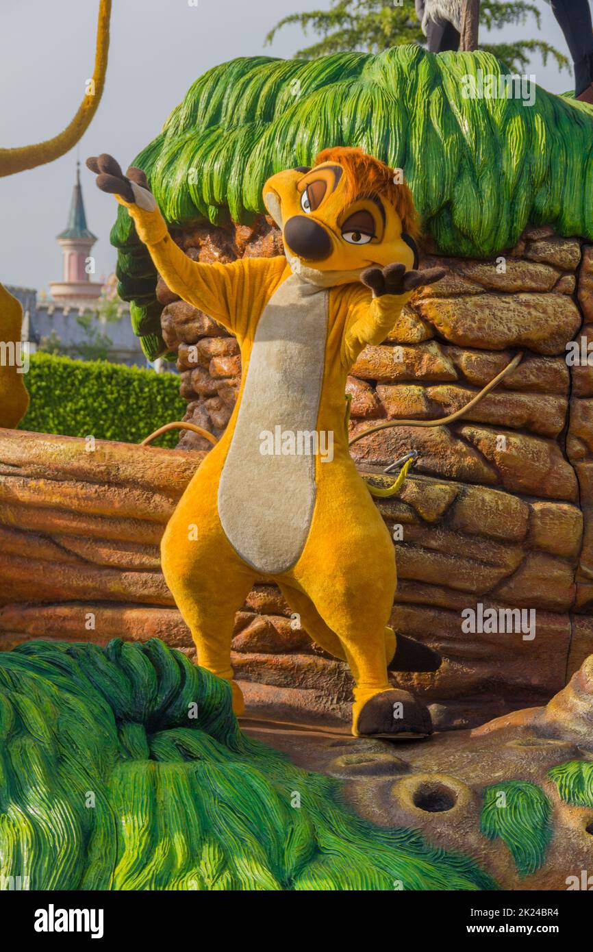 Lion King Characters Timon