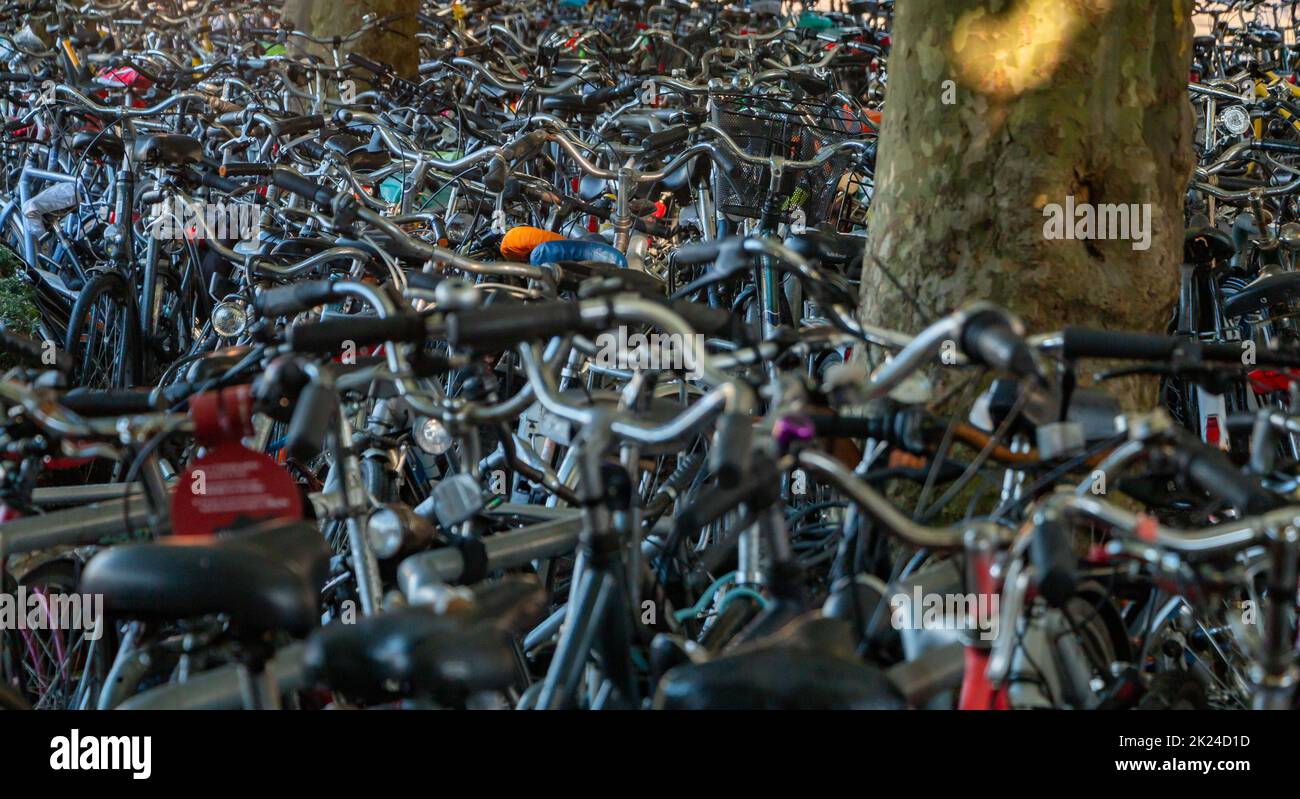 A picture of many bicycles grouped in a park in Ghent Stock Photo - Alamy
