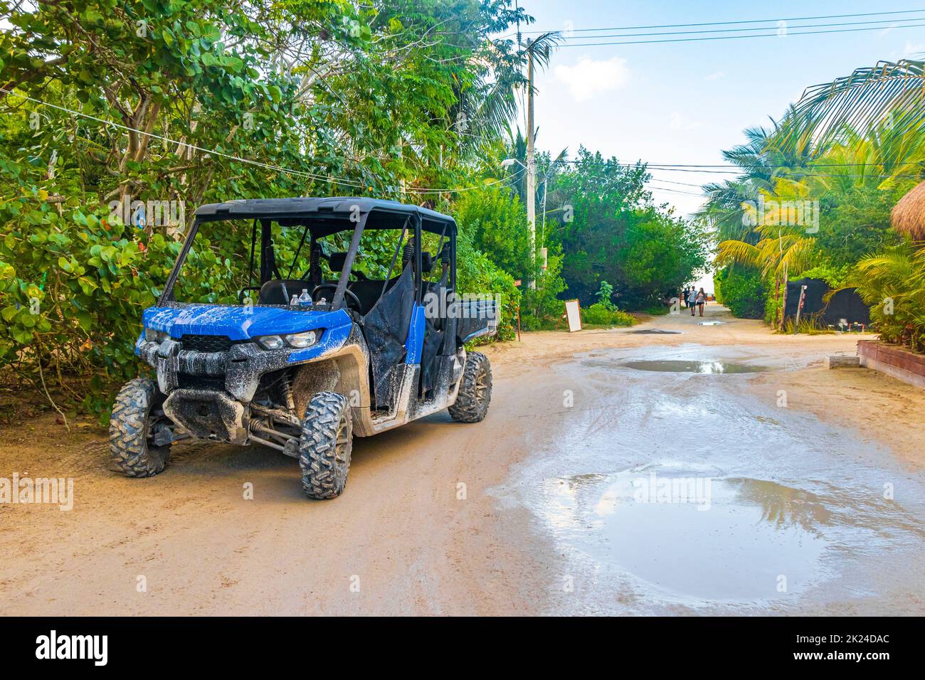 Buggy car golf cart cars carts on muddy street in the village on Holbox ...