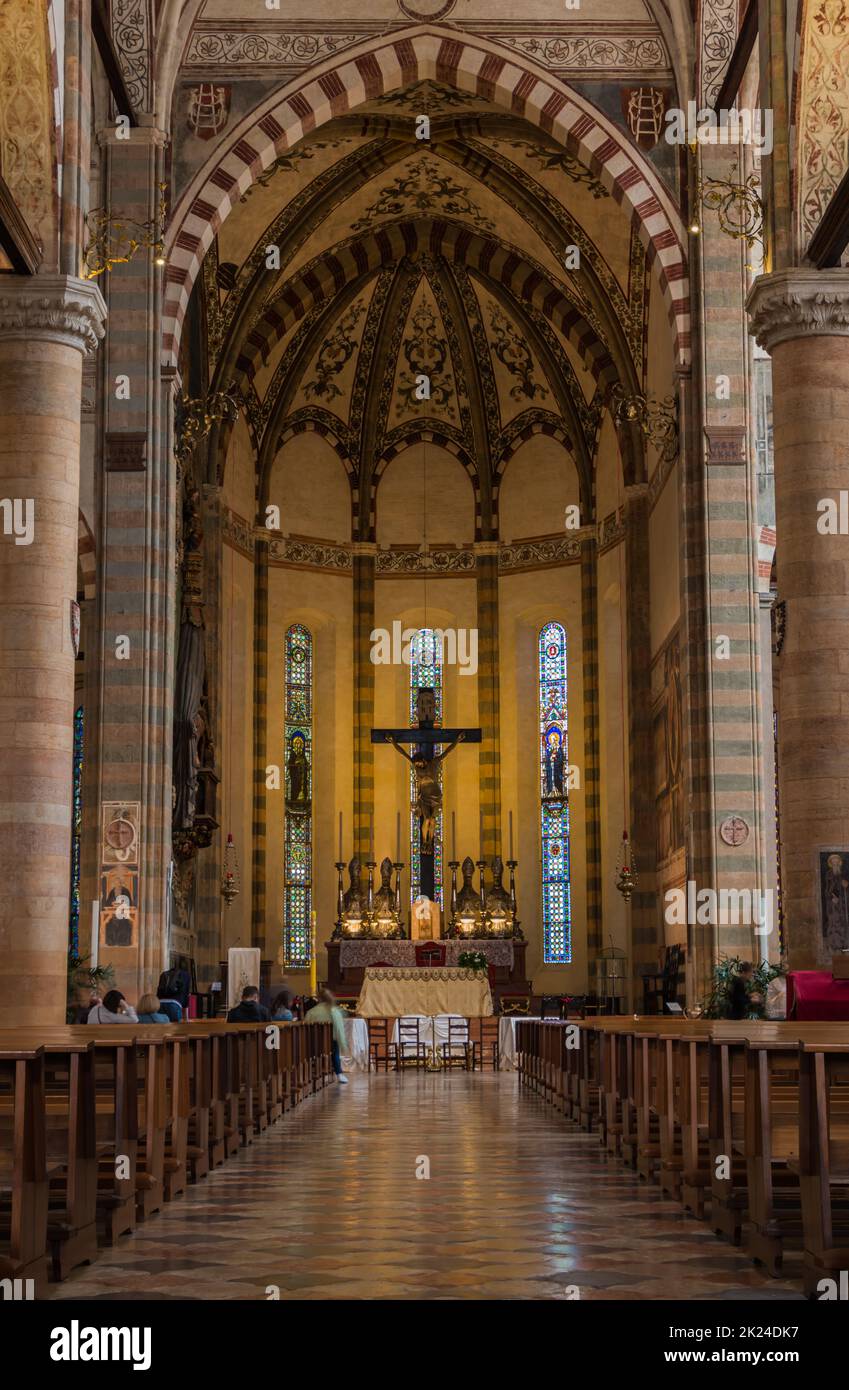 A picture of the interior of the Sant'Anastasia church (Verona Stock ...