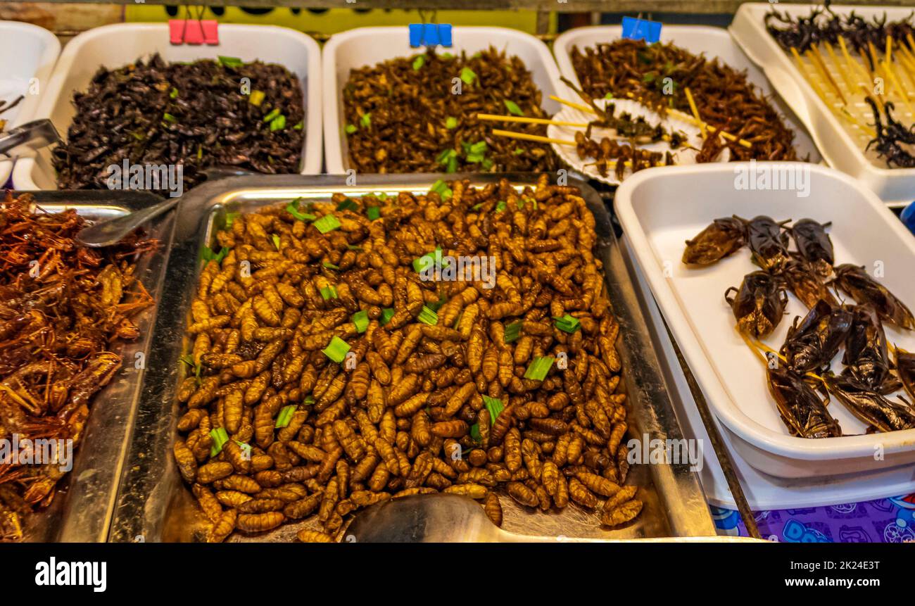Bangkok Thailand 22. Mai 2018 Disgusting Thai food and sale of insects ...