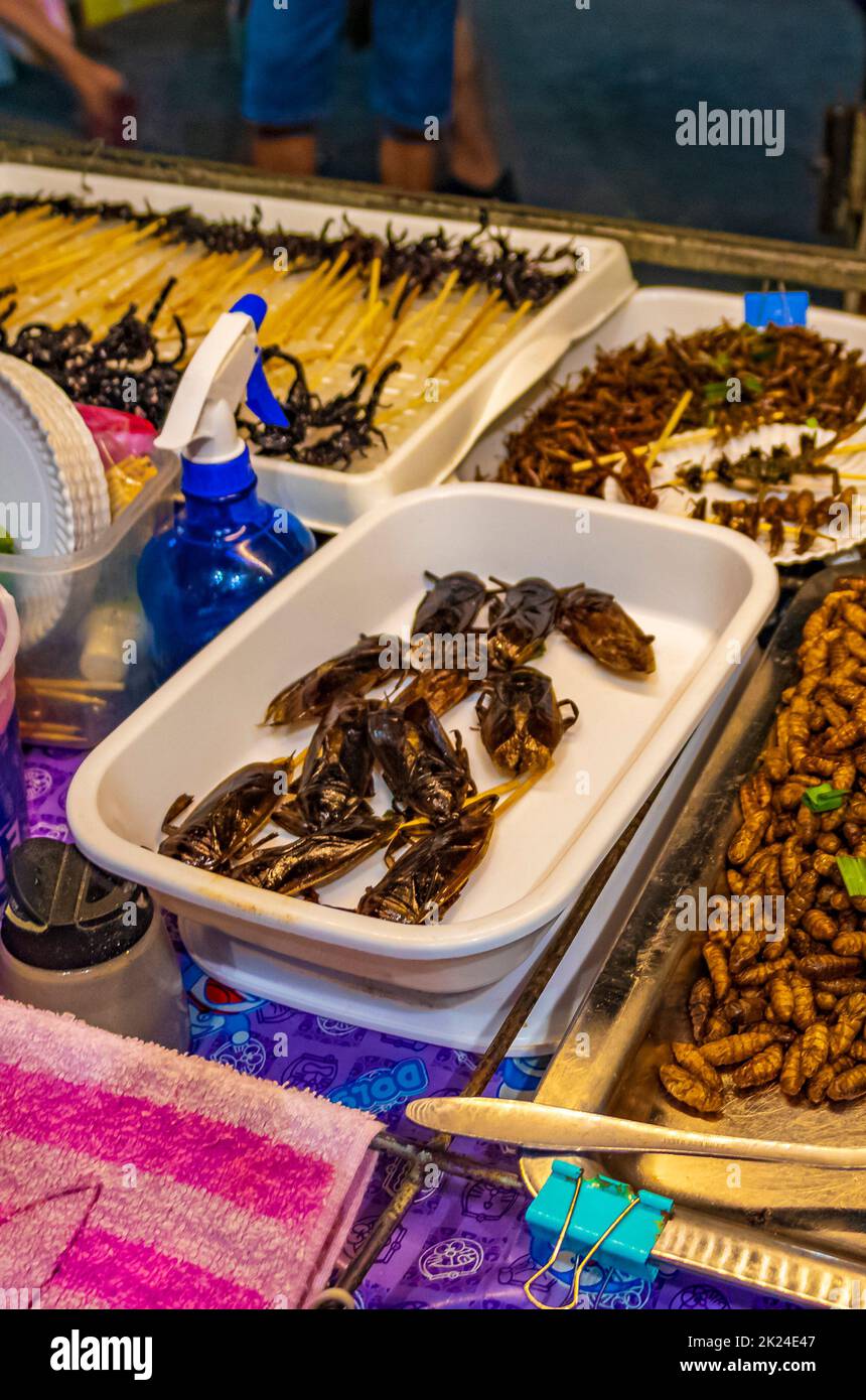 Bangkok Thailand 22. Mai 2018 Disgusting Thai food and sale of insects ...