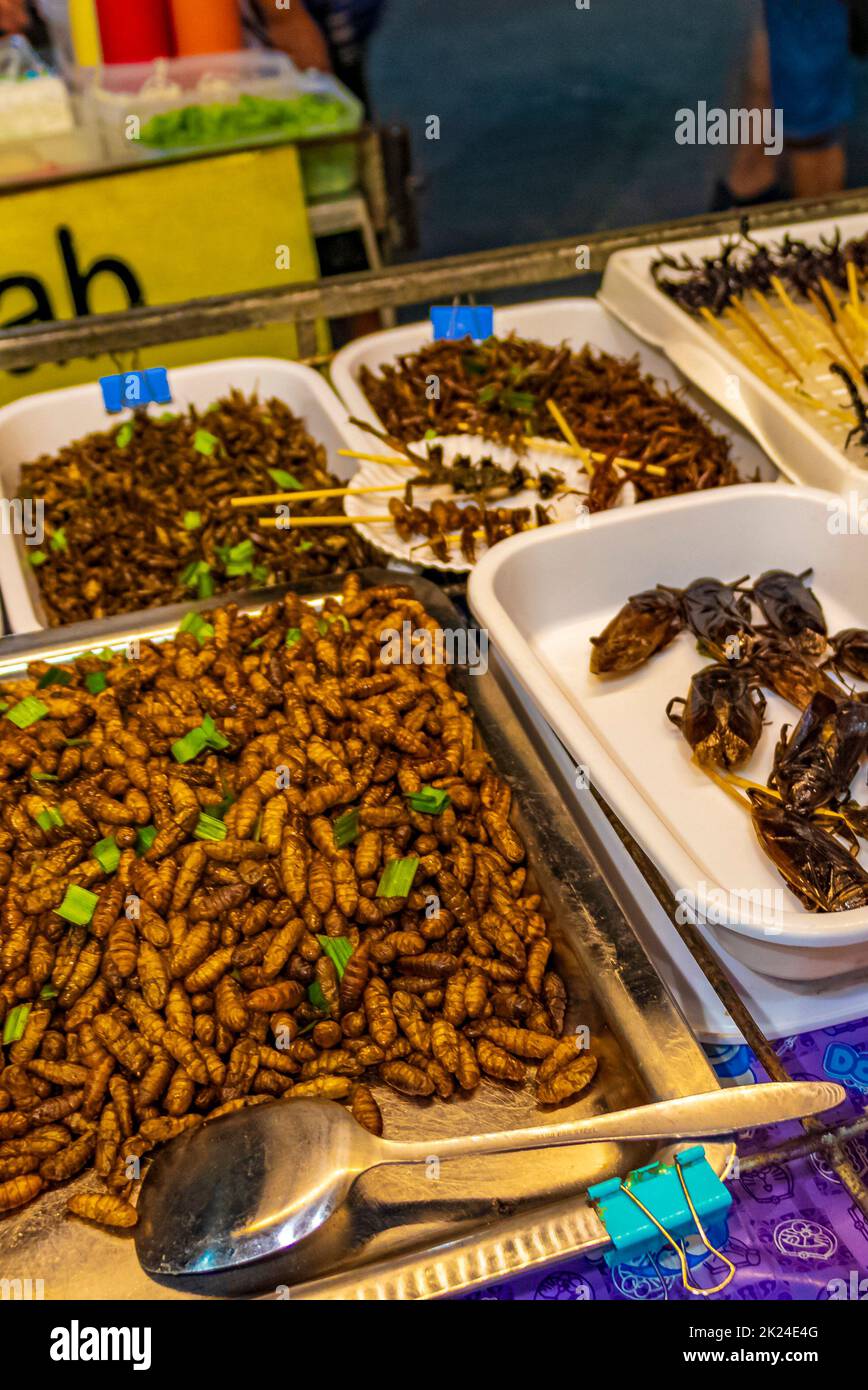 Bangkok Thailand 22. Mai 2018 Disgusting Thai food and sale of insects ...