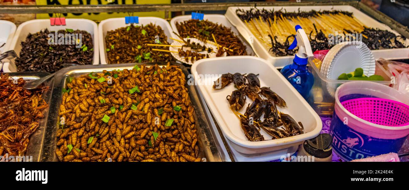 Bangkok Thailand 22. Mai 2018 Disgusting Thai food and sale of insects ...