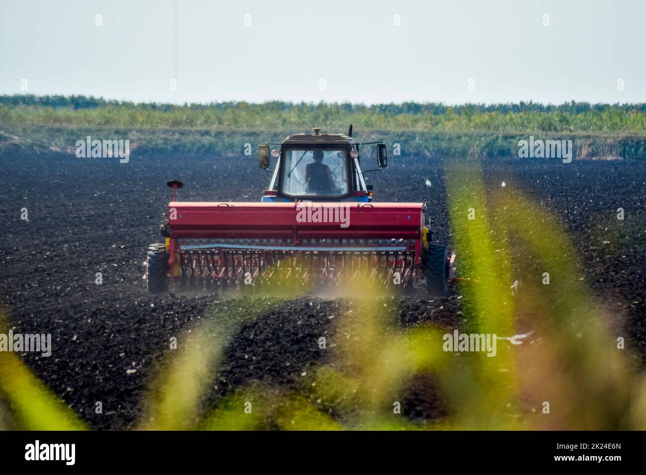 Tractor. Agricultural machinery tractor. Tractor with a seeder in the ...