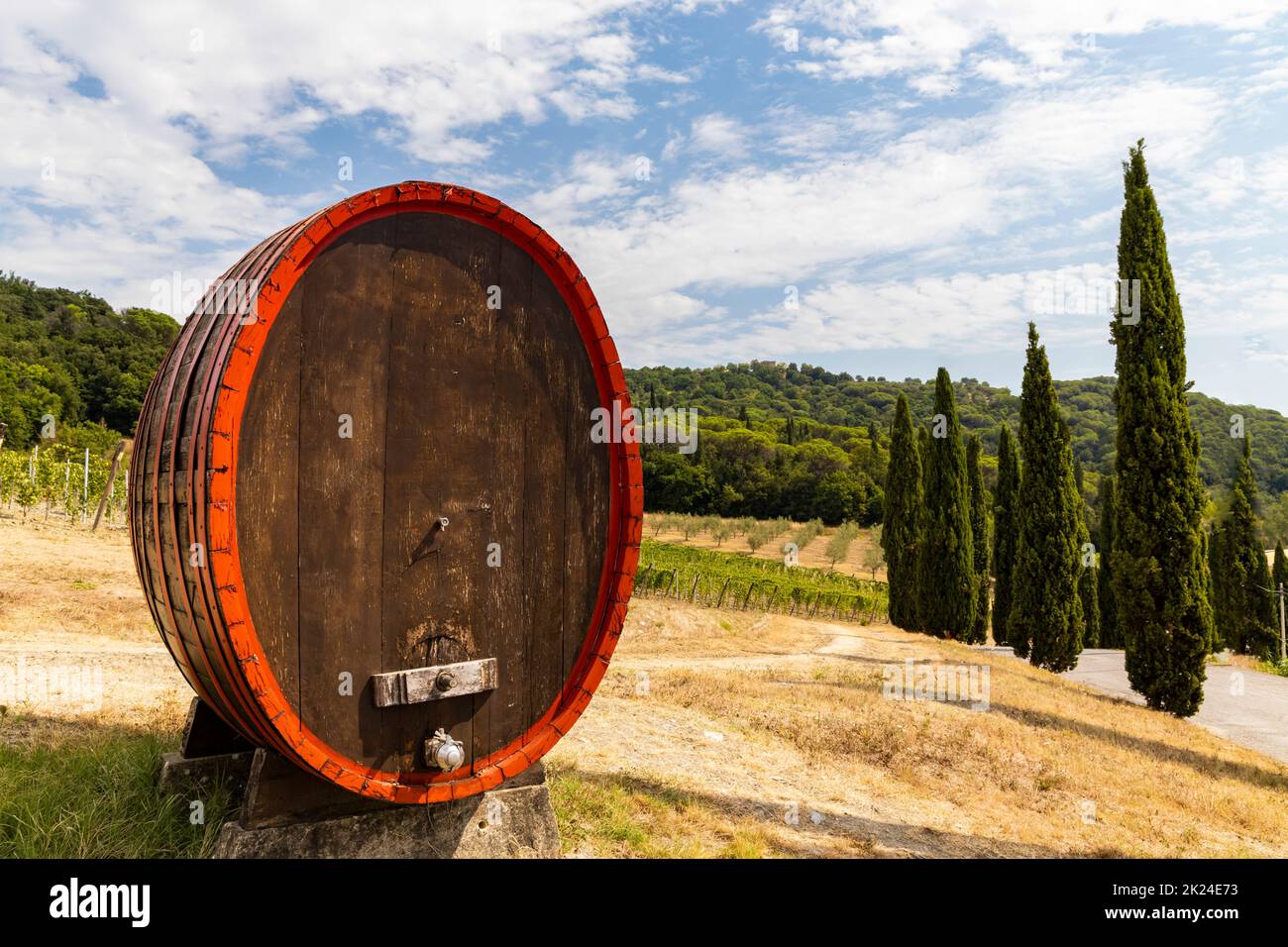 Wine barrel near Firenze, Tuscany, Italy Stock Photo - Alamy