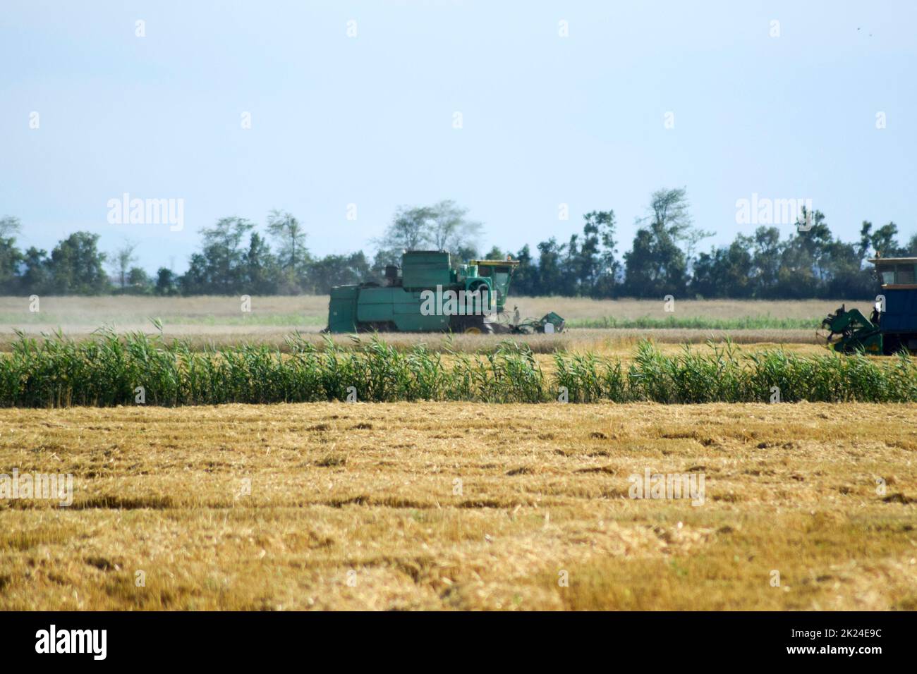 Combine harvesters Agricultural machinery. The machine for harvesting ...