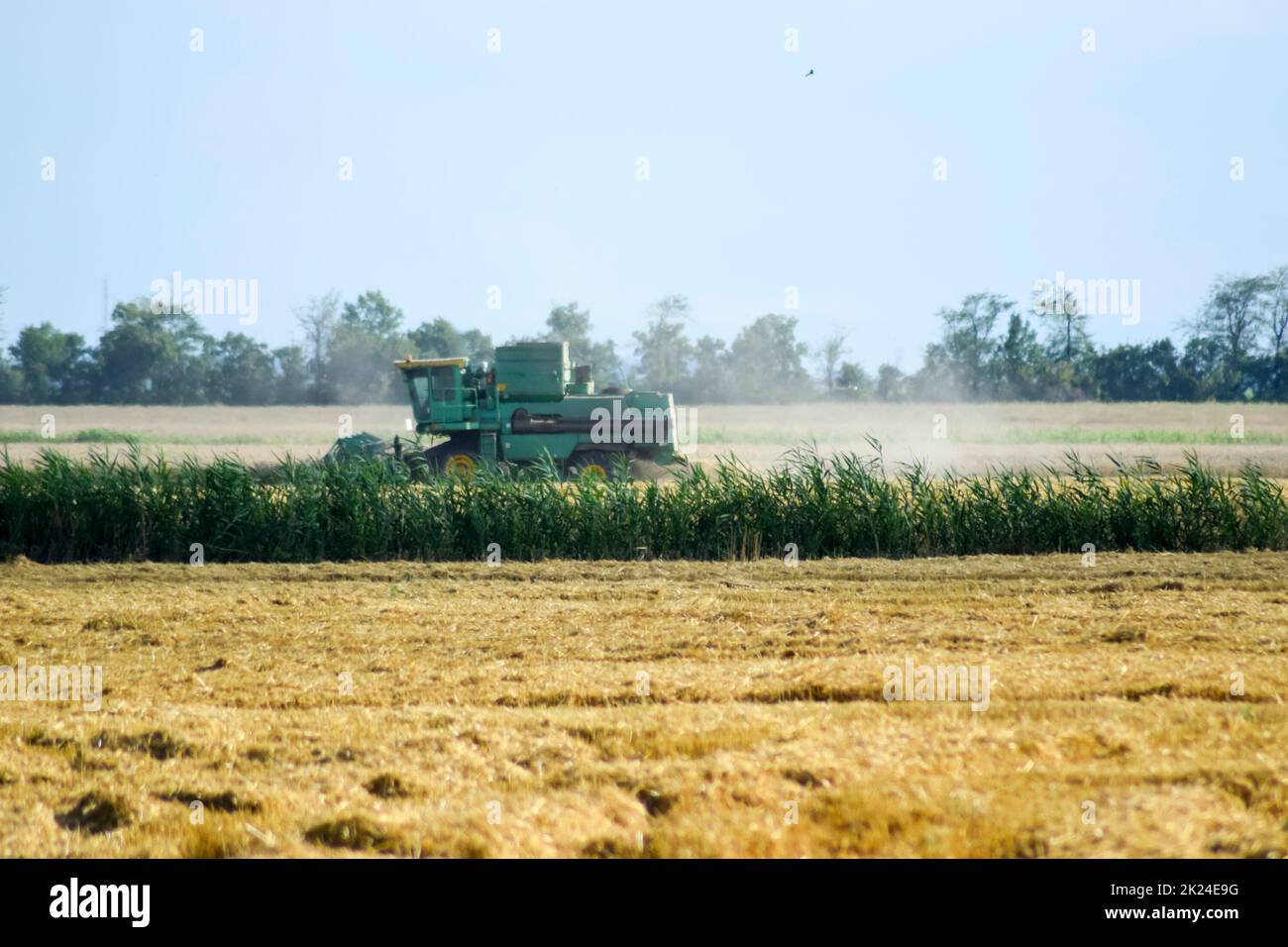 Combine harvesters Agricultural machinery. The machine for harvesting ...
