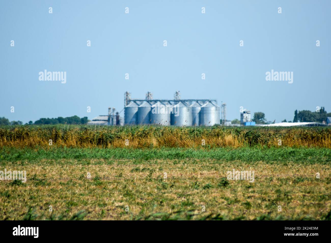 Plant for the drying and storage of grain. Rice plant in the middle of ...