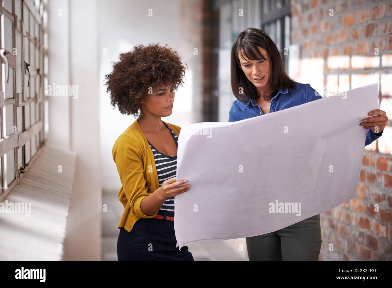 It all comes together with a good plan. two female architects ...