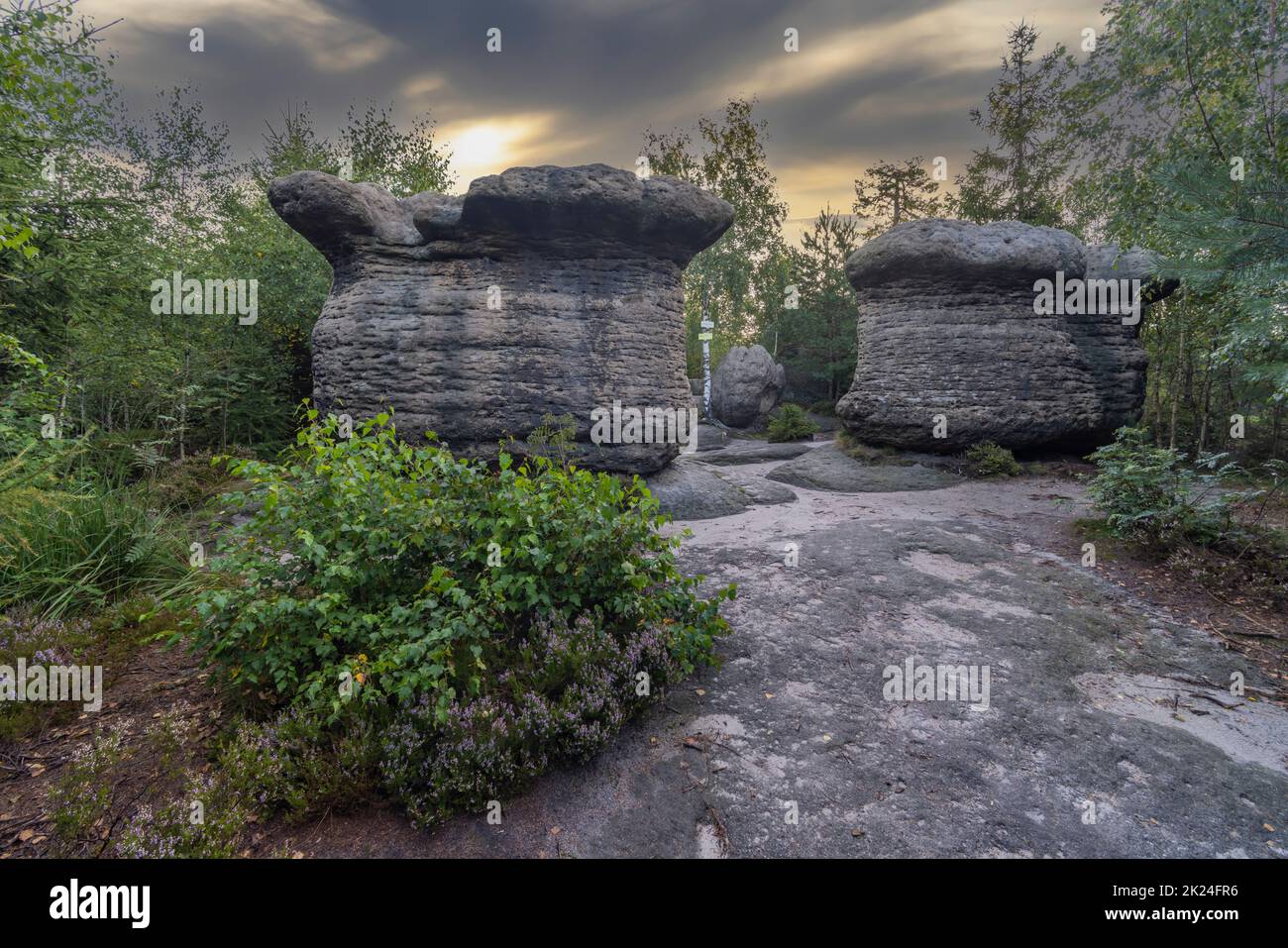 Stone mushrooms in a nature reserve Broumovske steny, eastern Bohemia ...