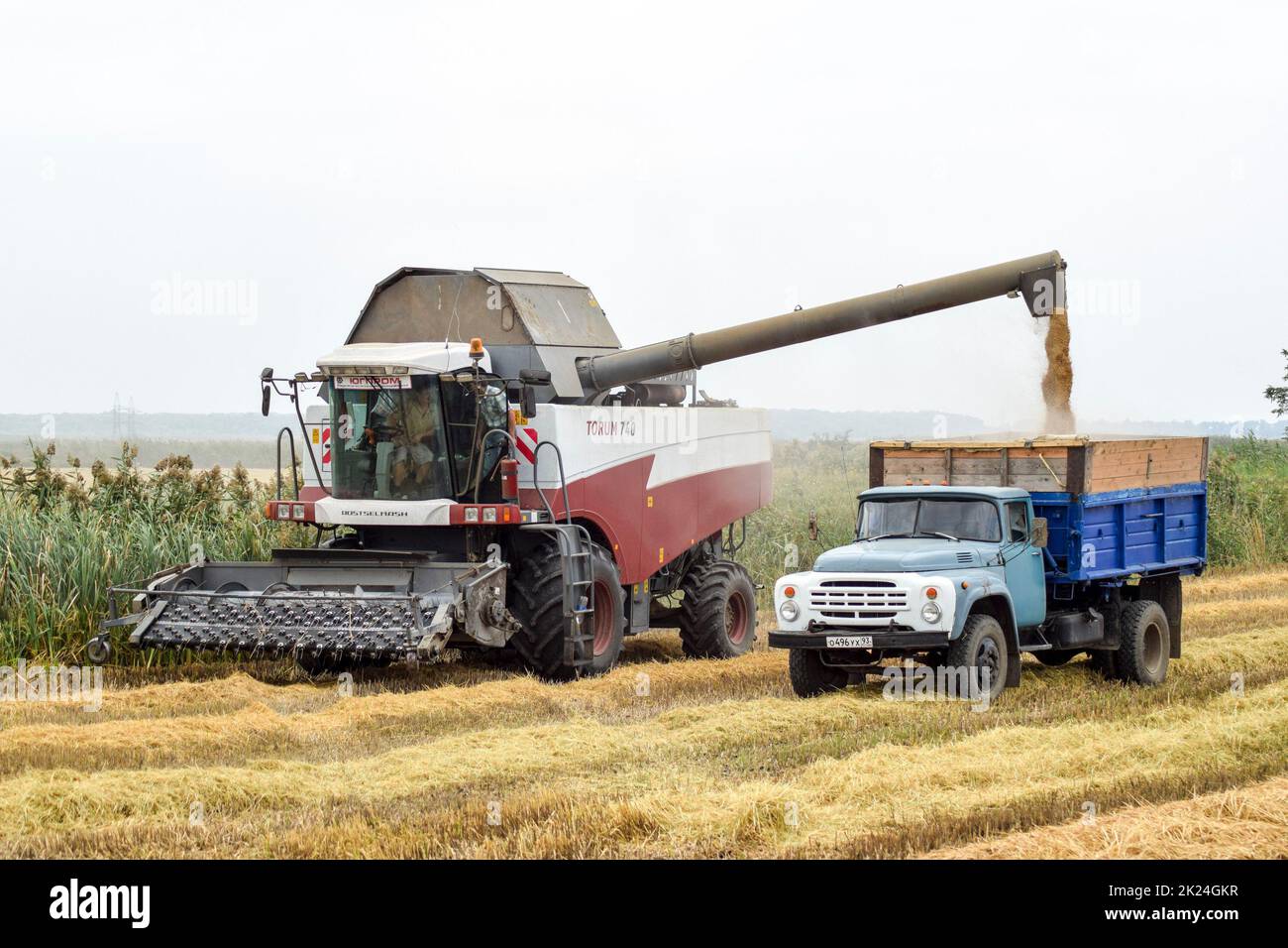 Farmer unloading grain from hi-res stock photography and images - Alamy