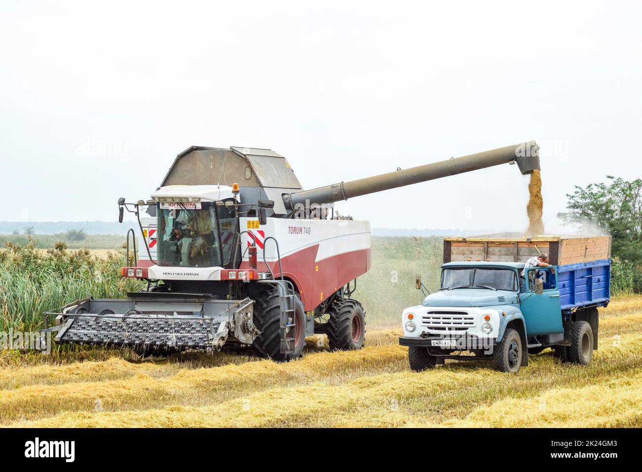 Russia, Poltavskaya village - September 27, 2015: Unloading grain from ...