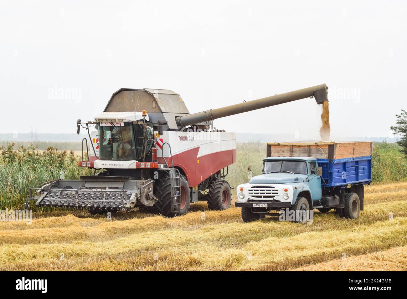 Russia, Poltavskaya village - September 27, 2015: Unloading grain from ...