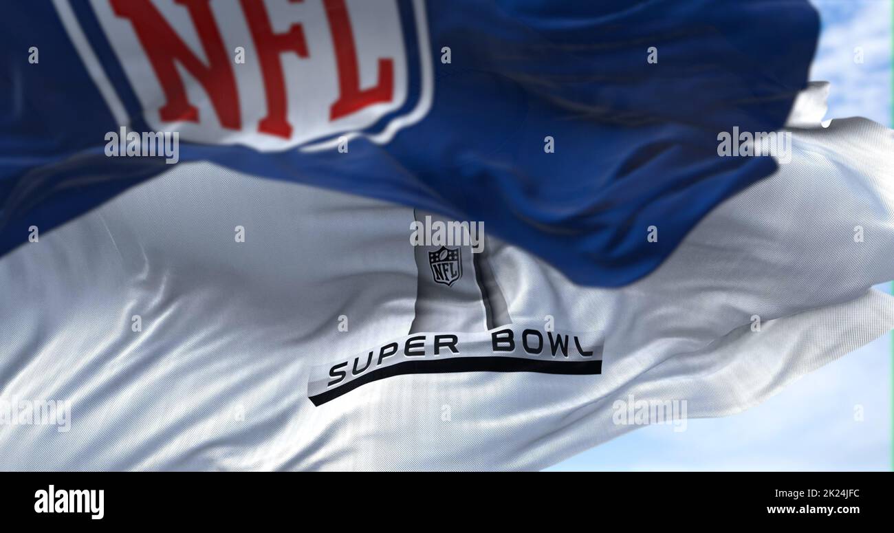 Super Bowl 48 Regional Logo