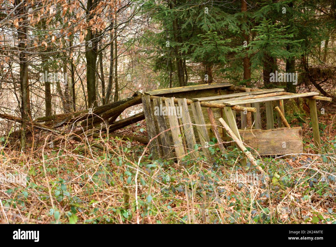 Umgestürtzter Jäger-Hochsitz in einem Wald in Oberösterreich - Fallen ...