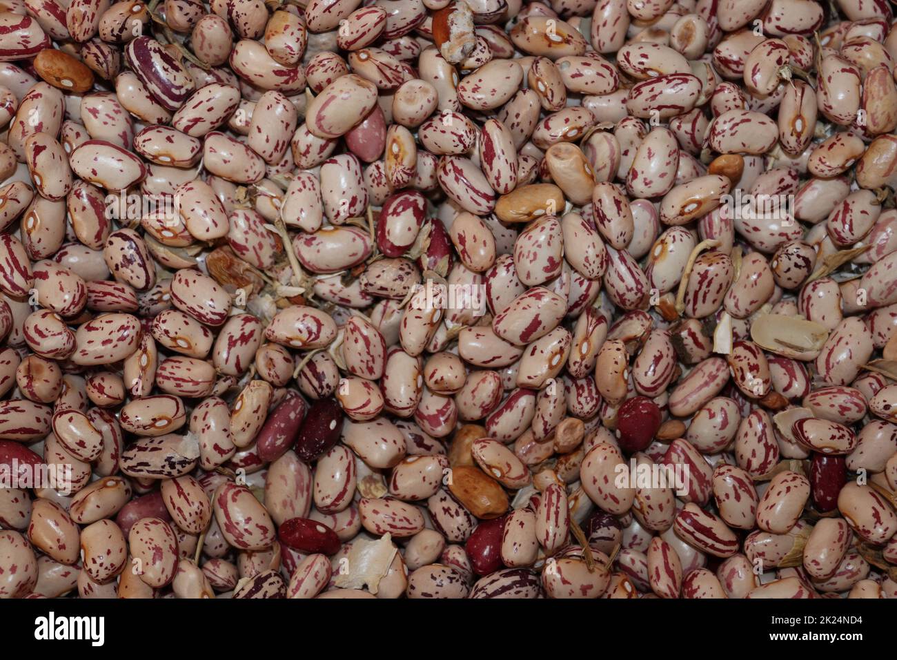 A closer look to beans that can formate a background Stock Photo - Alamy