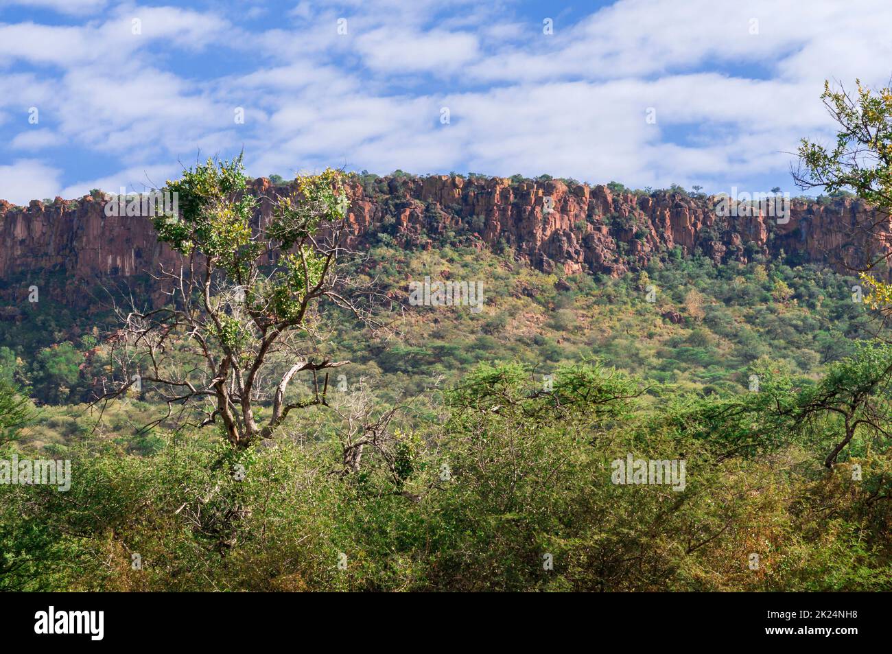 Waterberg Plateau Park in Namibia, Afrika Stock Photo - Alamy