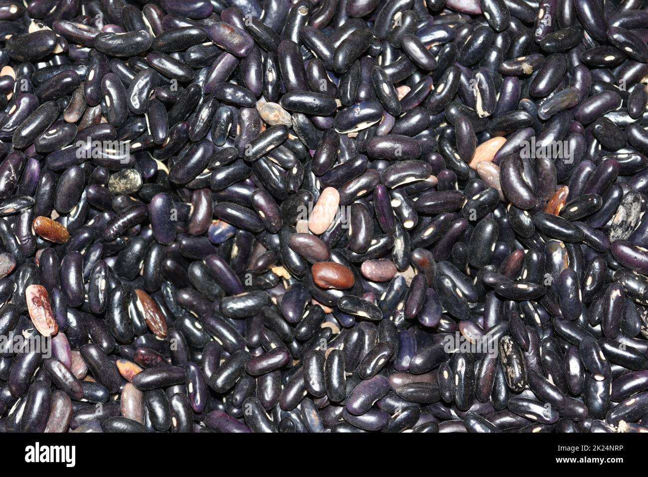 Black beens hi-res stock photography and images - Alamy