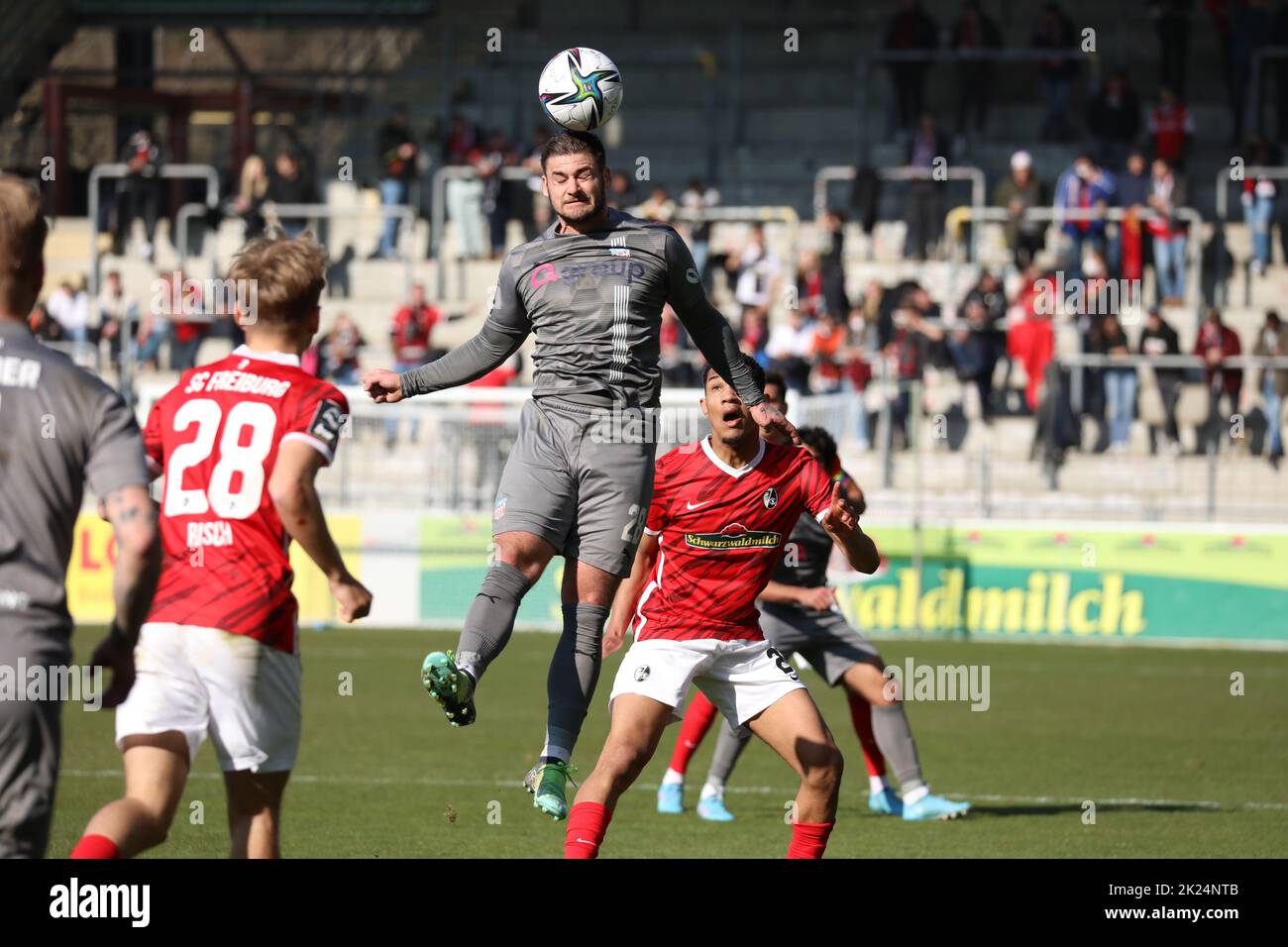 29 sptg sc freiburg ii vs fsv zwickau hi-res stock photography and ...