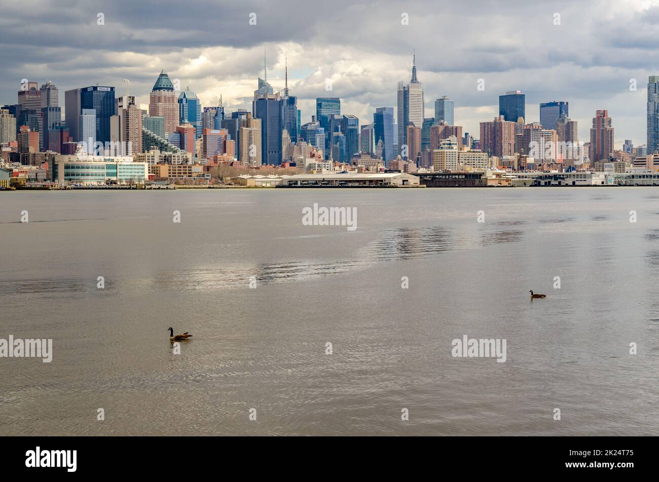 View of Manhattan Skyline, New York City with two birds on the Hudson ...