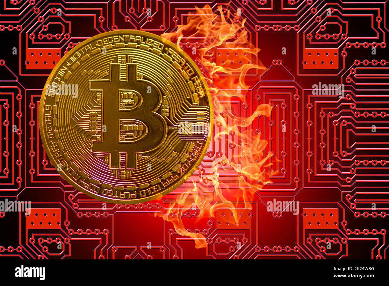 burning golden valueable single bitcoin from crypto currency with a red ...