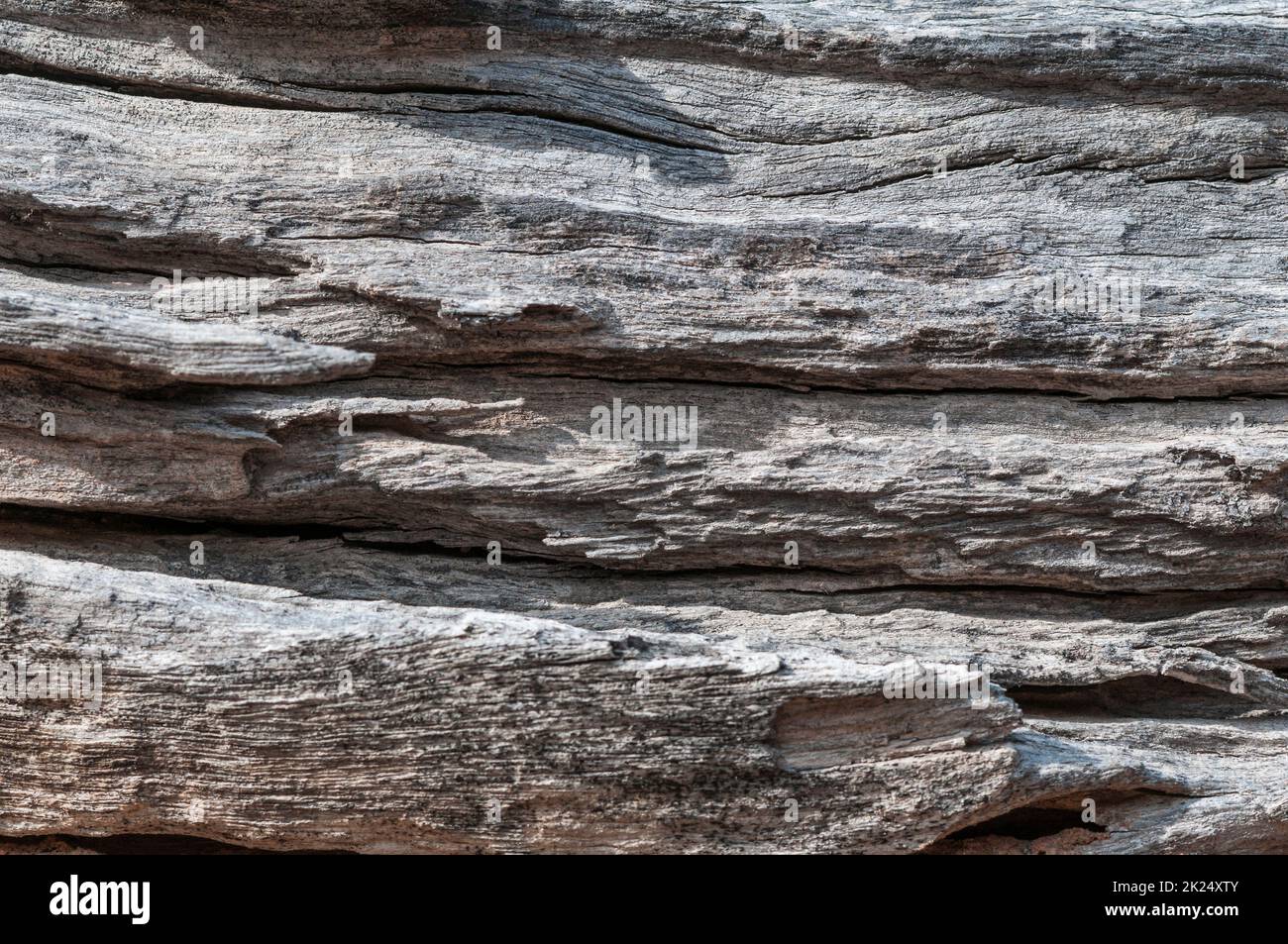 Rustic gray wood background with structural effect Stock Photo - Alamy