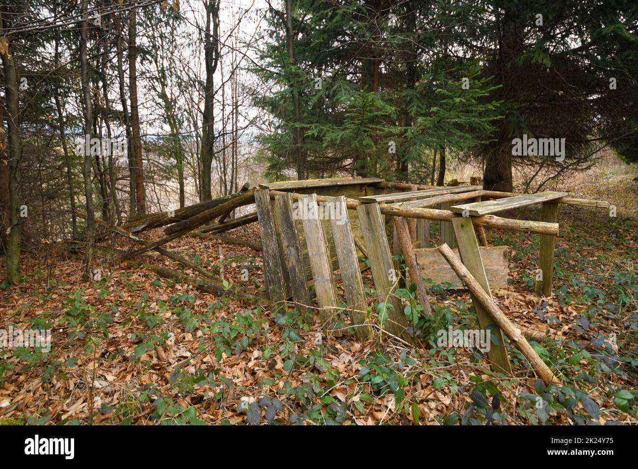 Umgestürtzter Jäger-Hochsitz in einem Wald in Oberösterreich - Fallen ...