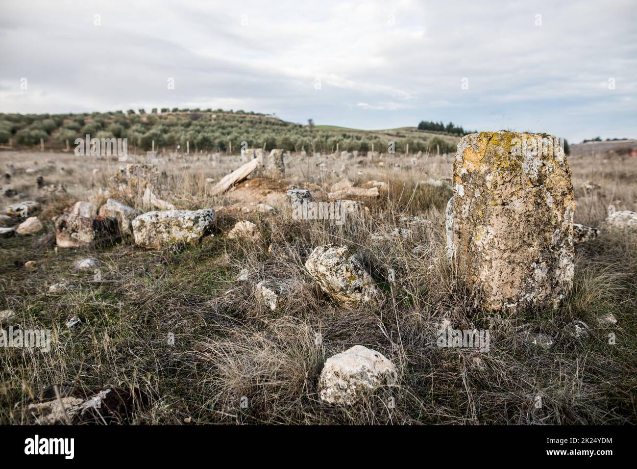 Muslim tom stones in an ancient abandoned cemetery Stock Photo - Alamy