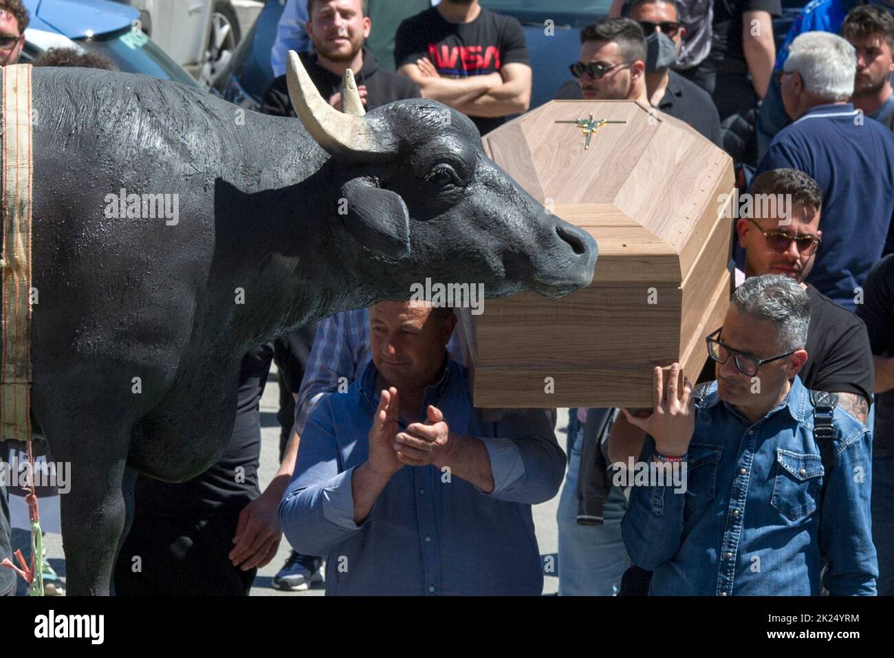 Breeders stage a funeral procession with a coffin in memory of 300 ...