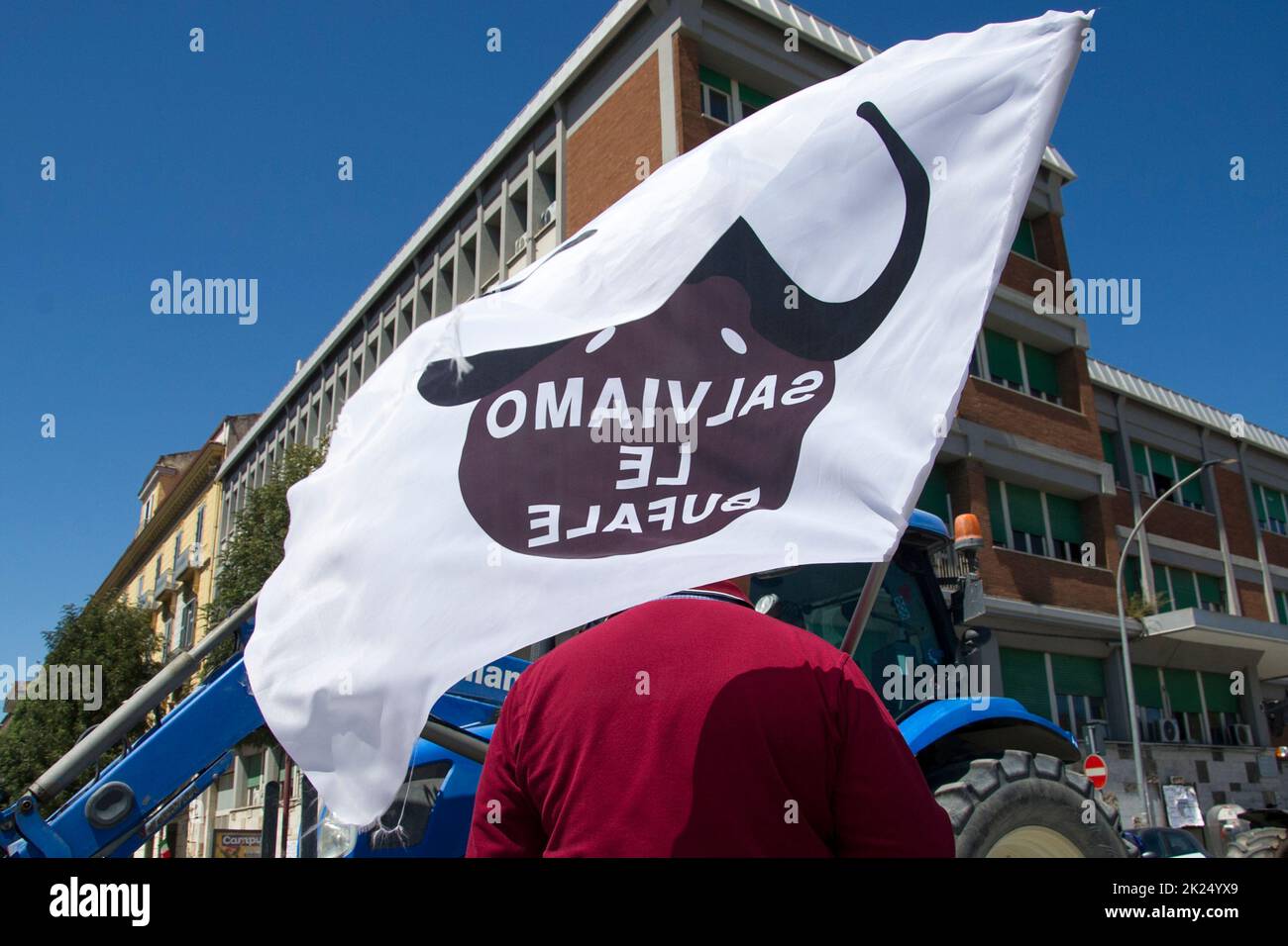 Farmer keeps a flag that says "Let's save the buffaloes", during the ...
