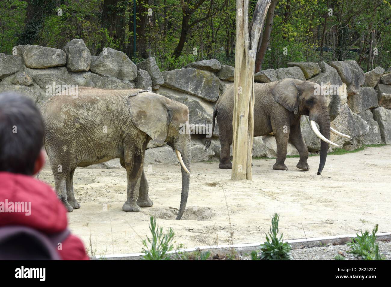 Tierwelt wien hi-res stock photography and images - Alamy