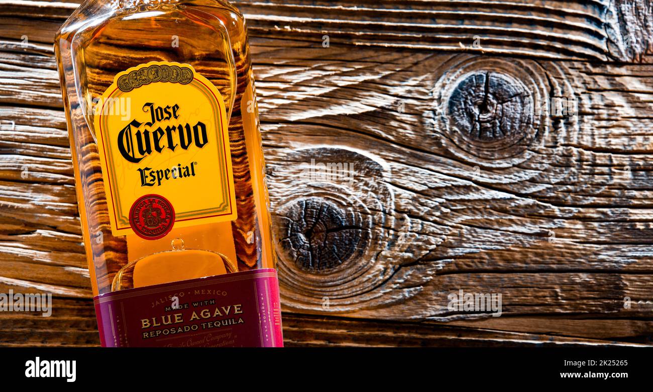Tequila Jose Cuervo Wallpaper