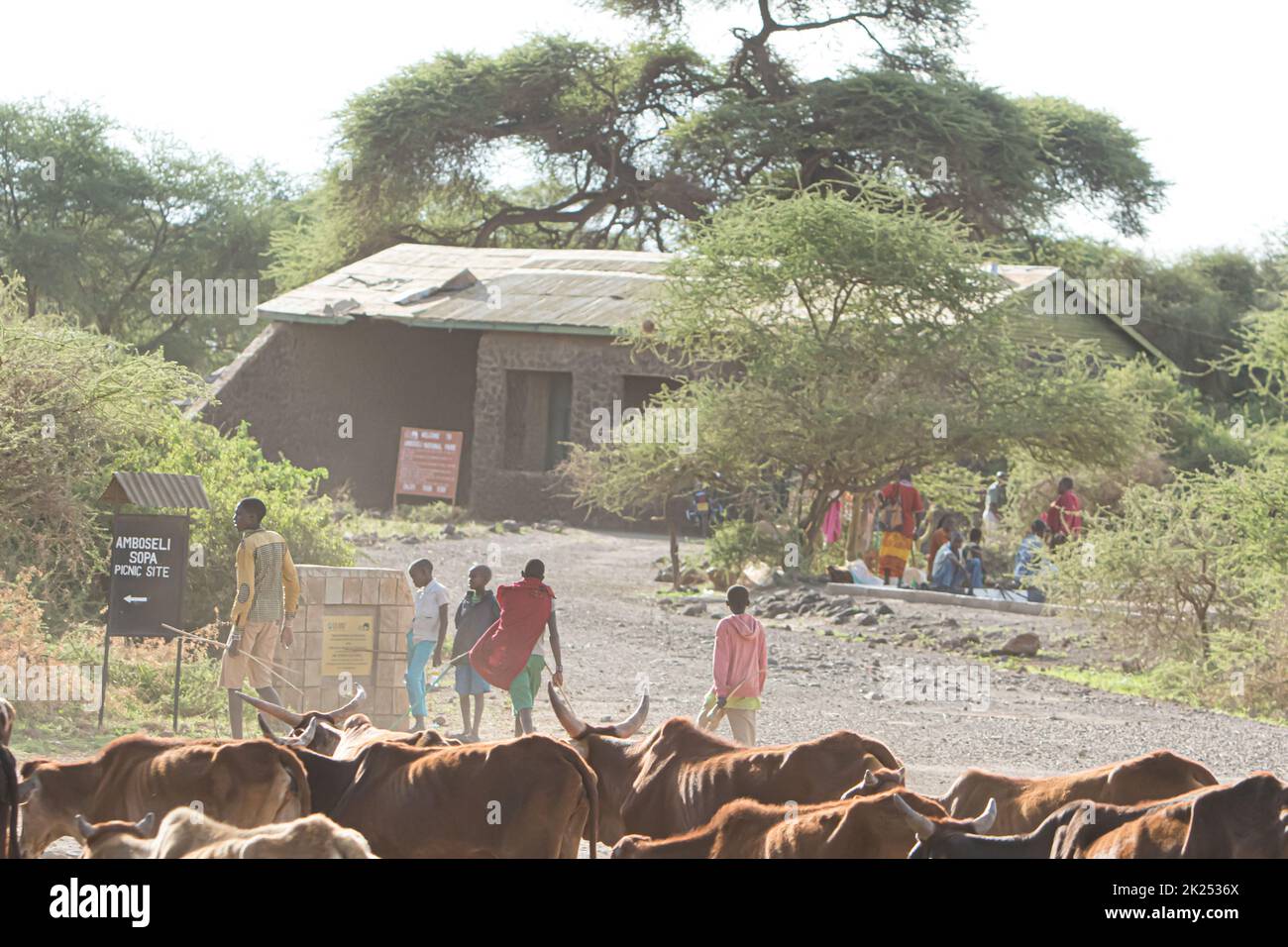 African shepherds people hi-res stock photography and images - Alamy