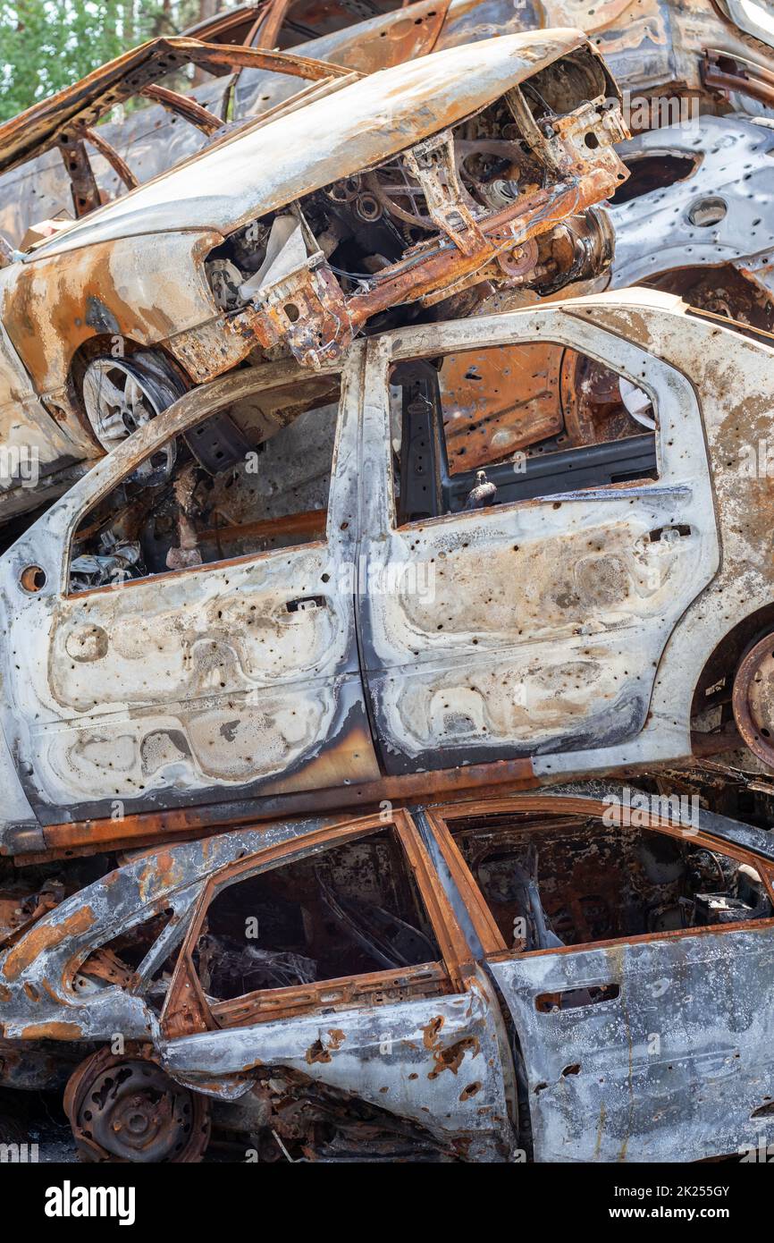 A lot of rusty burnt cars in Irpen, after being shot by the Russian ...
