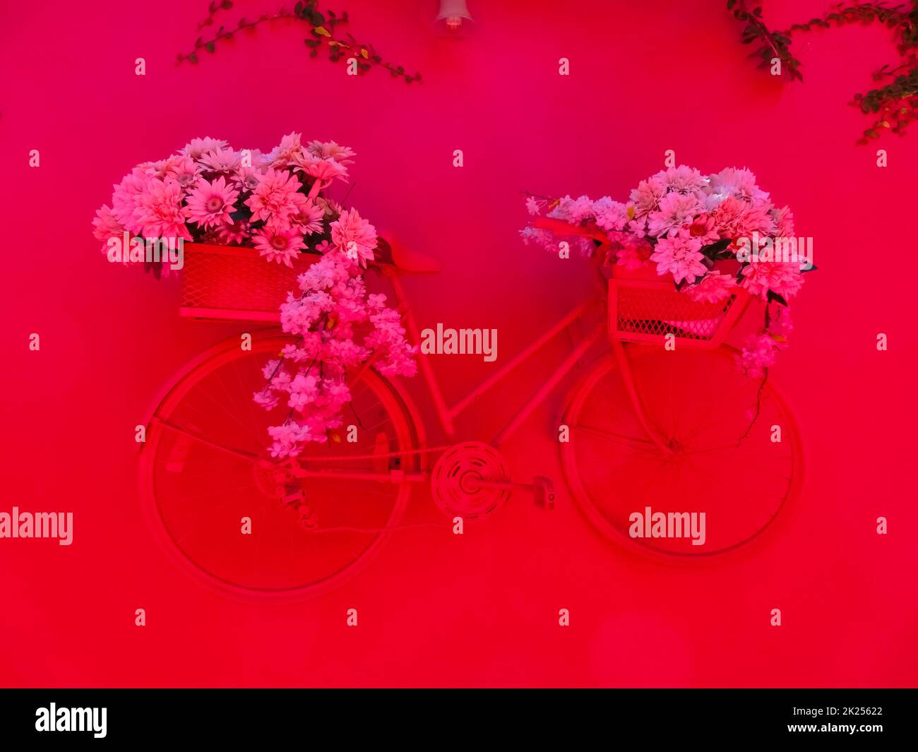Pink street with green plants, windows, street lams, decorative ...