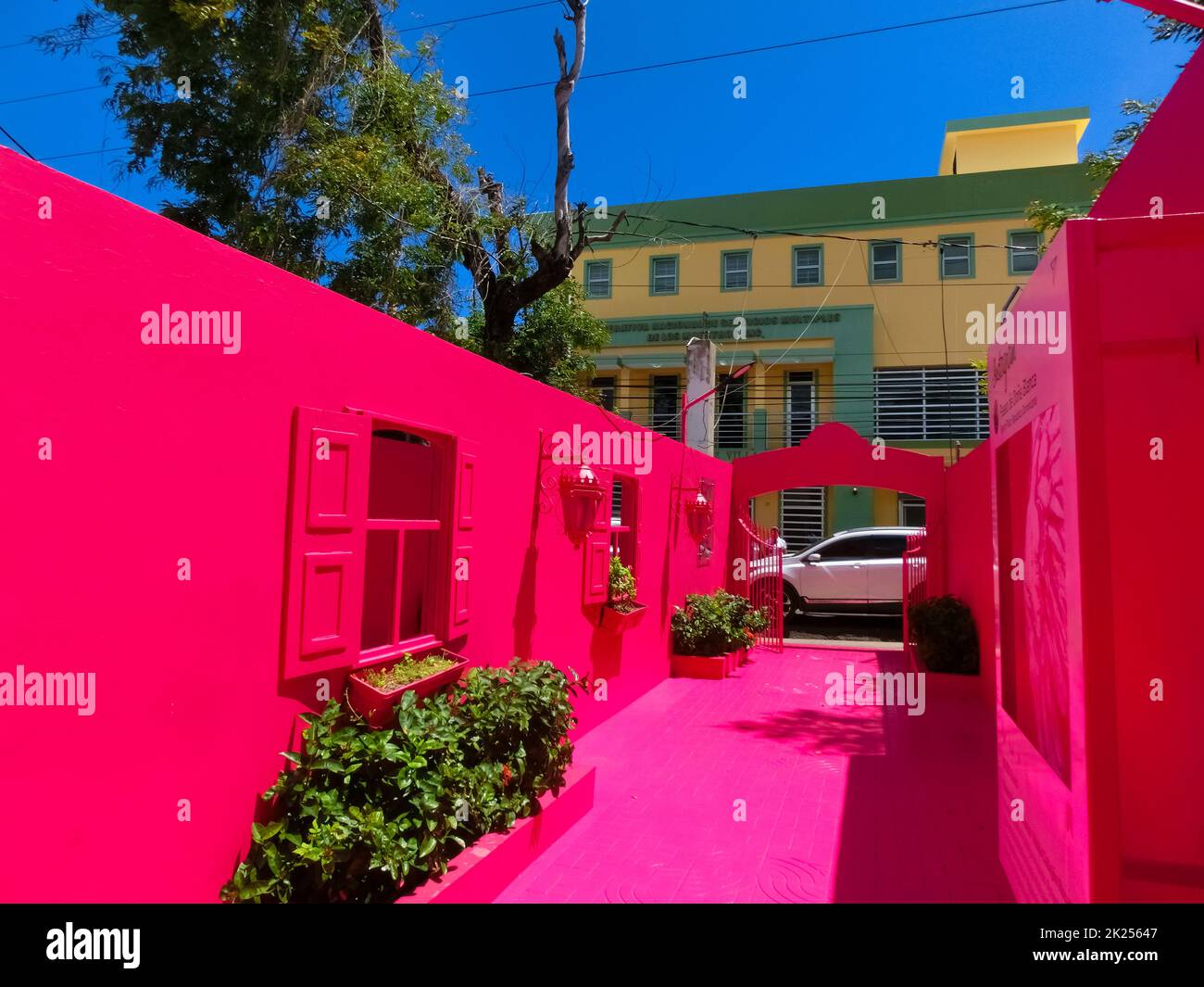 Pink street with green plants, windows, street lams, decorative ...