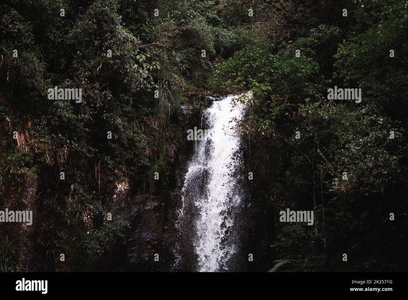 foam on the river water due to the force of the falls Stock Photo - Alamy