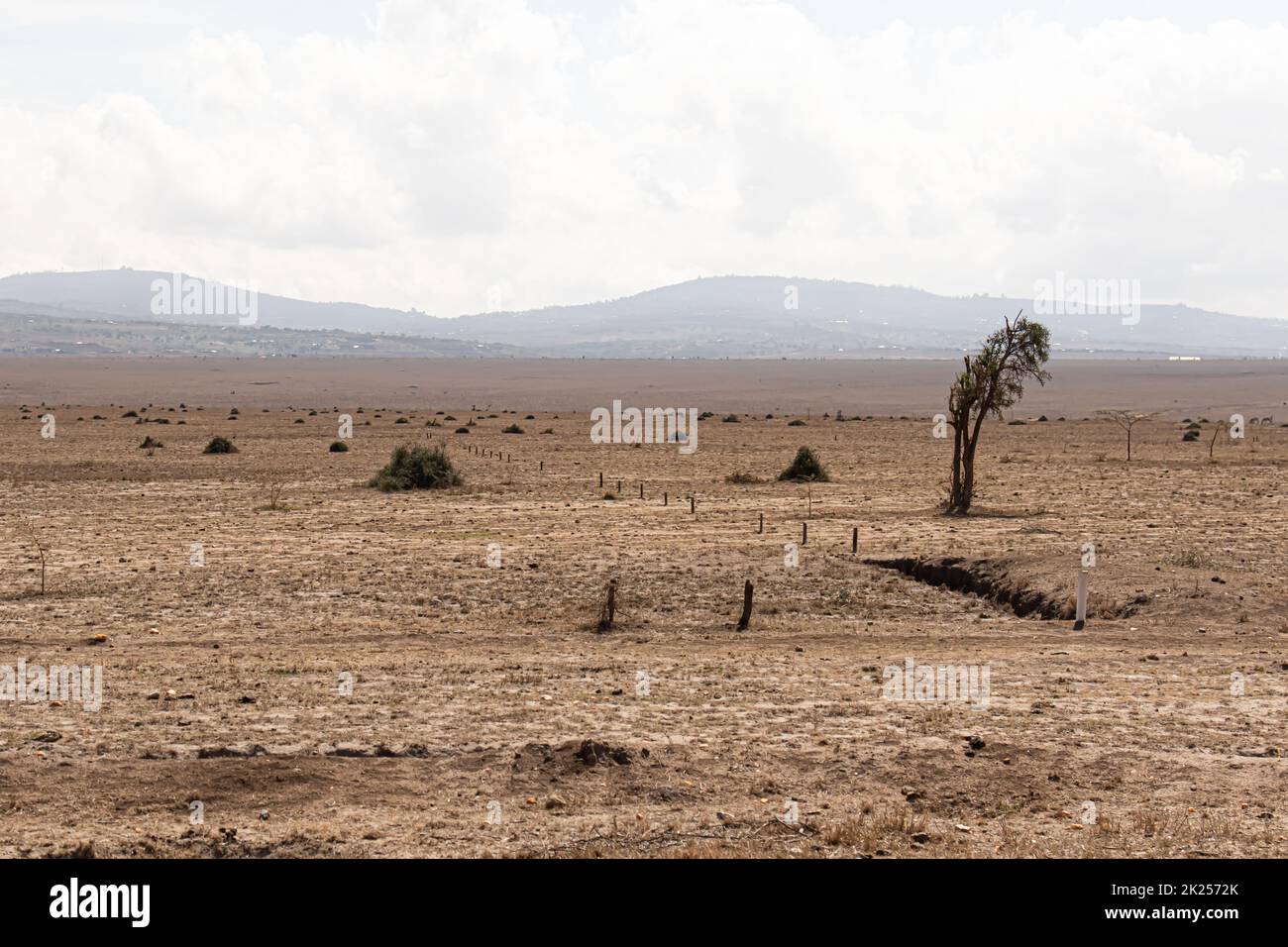 View of the desertic savannah in the Kenyan countryside Stock Photo - Alamy
