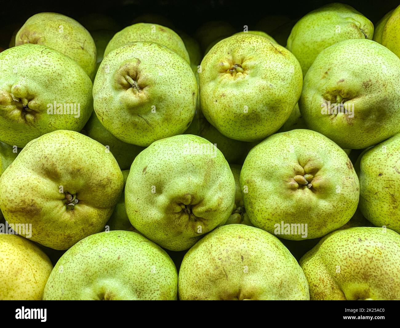 Green packham pear hi-res stock photography and images - Alamy