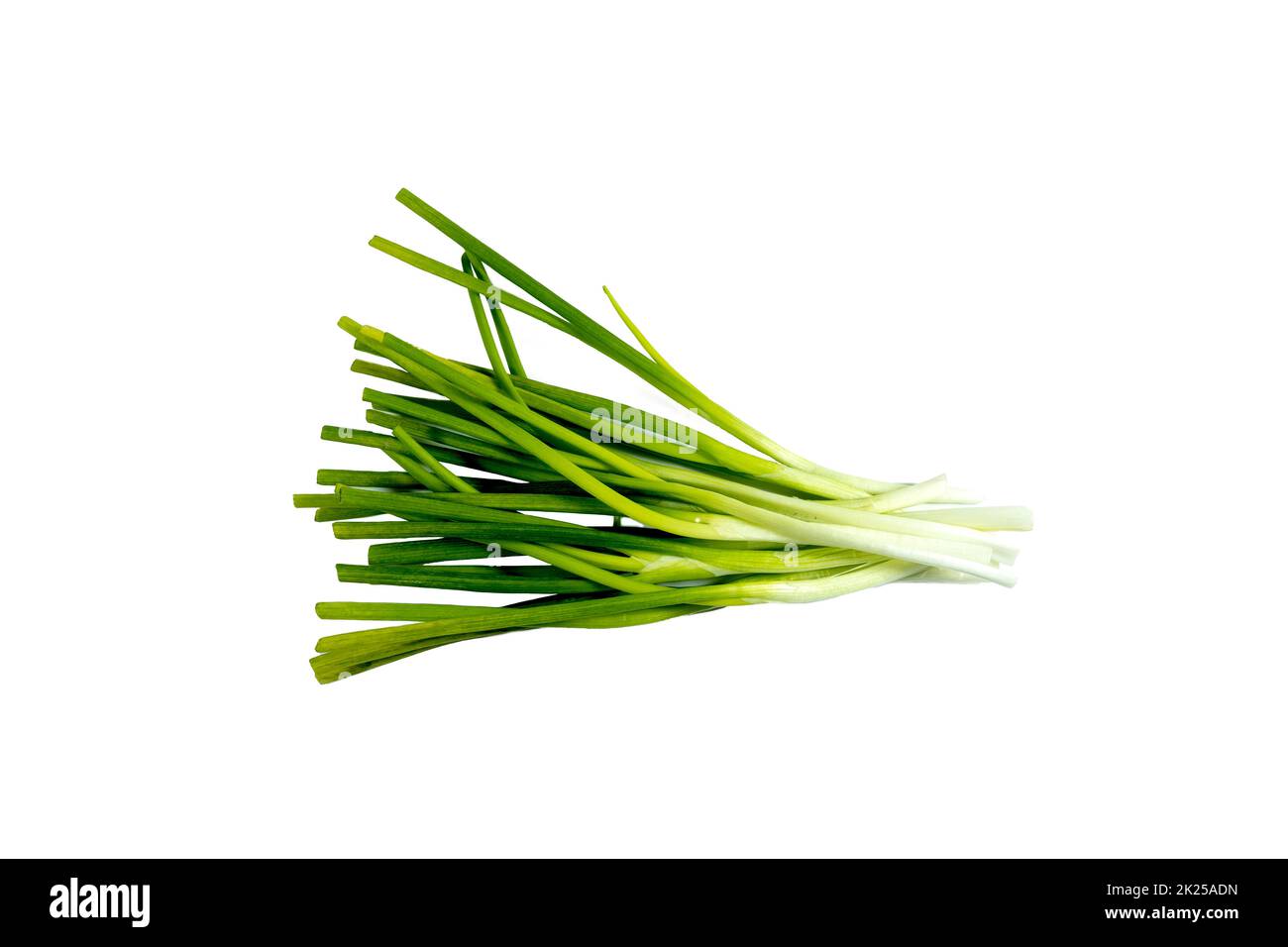 Pile of fresh spring onion vegetable Isolated on White Background Stock ...