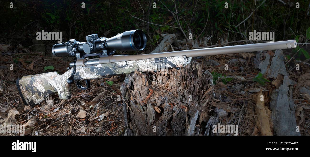 Riflescope and rifle in the forest with a rotting stump and deadfall ...