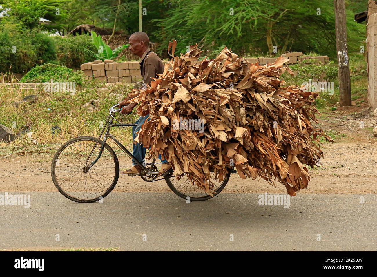 Ngorongoro Conservation Area, Tanzania - 7 Novembre 2017: African man ...