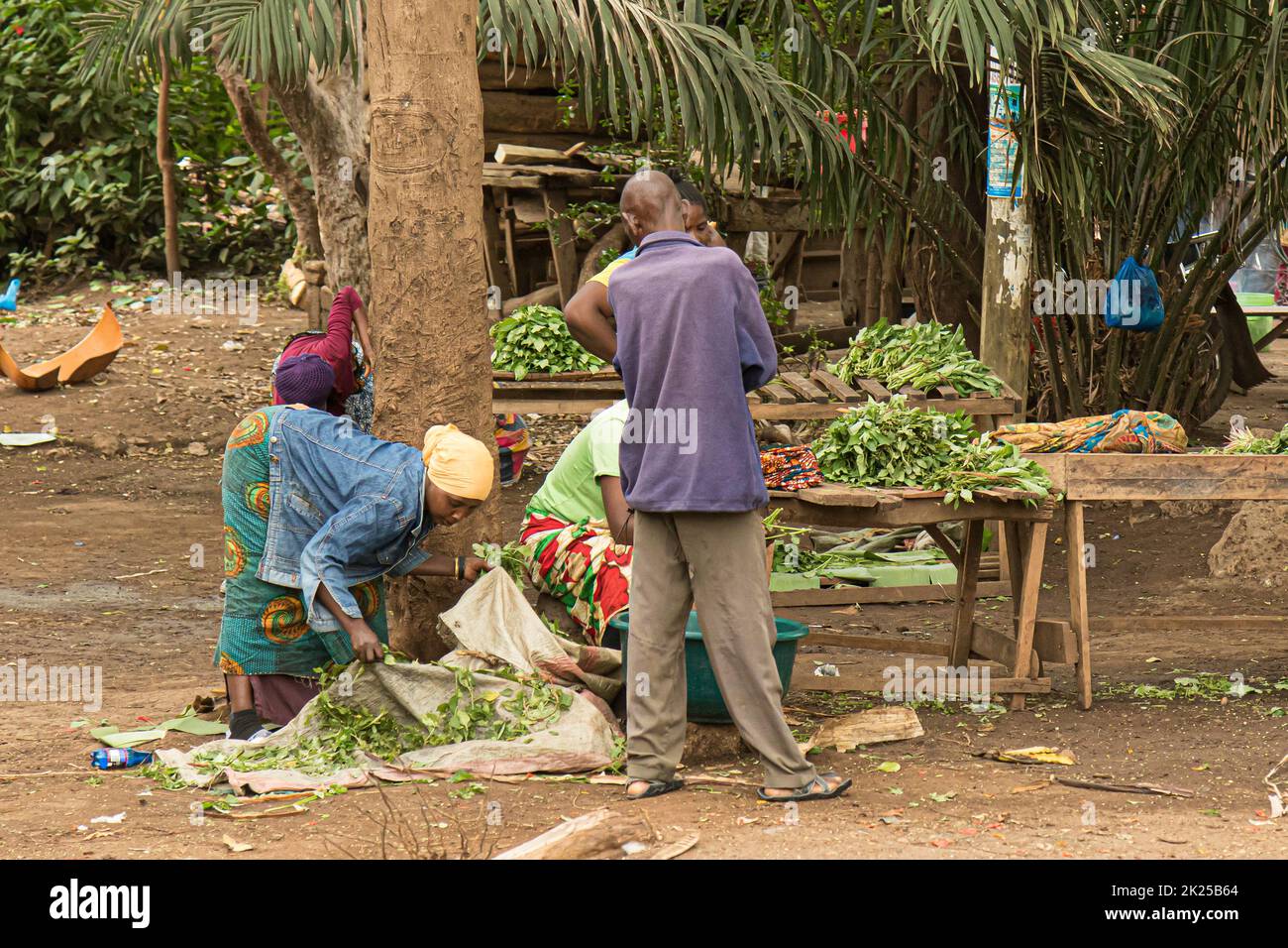 African men in the tanzanian countryside Stock Photo - Alamy