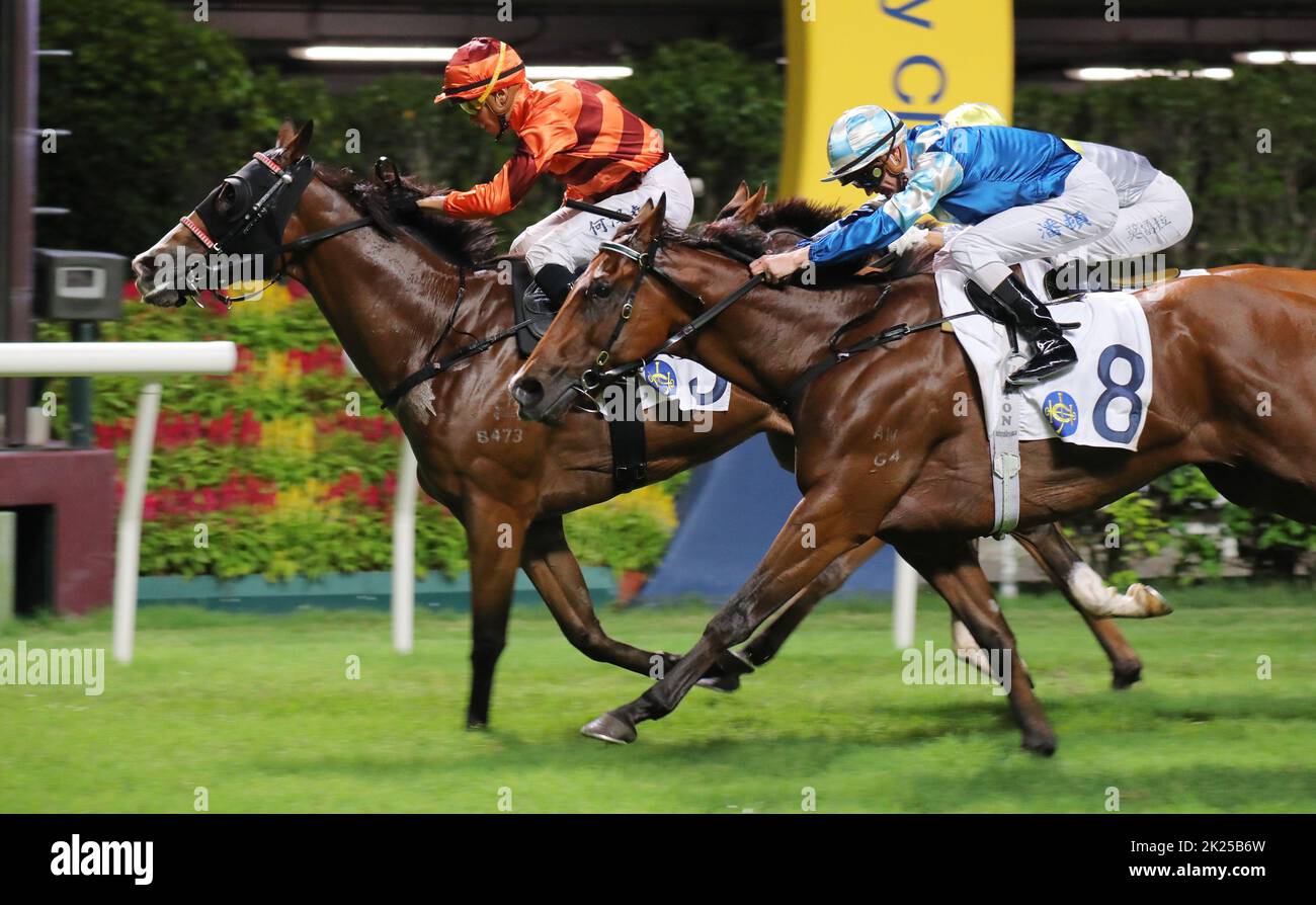 Vamos valley hi-res stock photography and images - Alamy