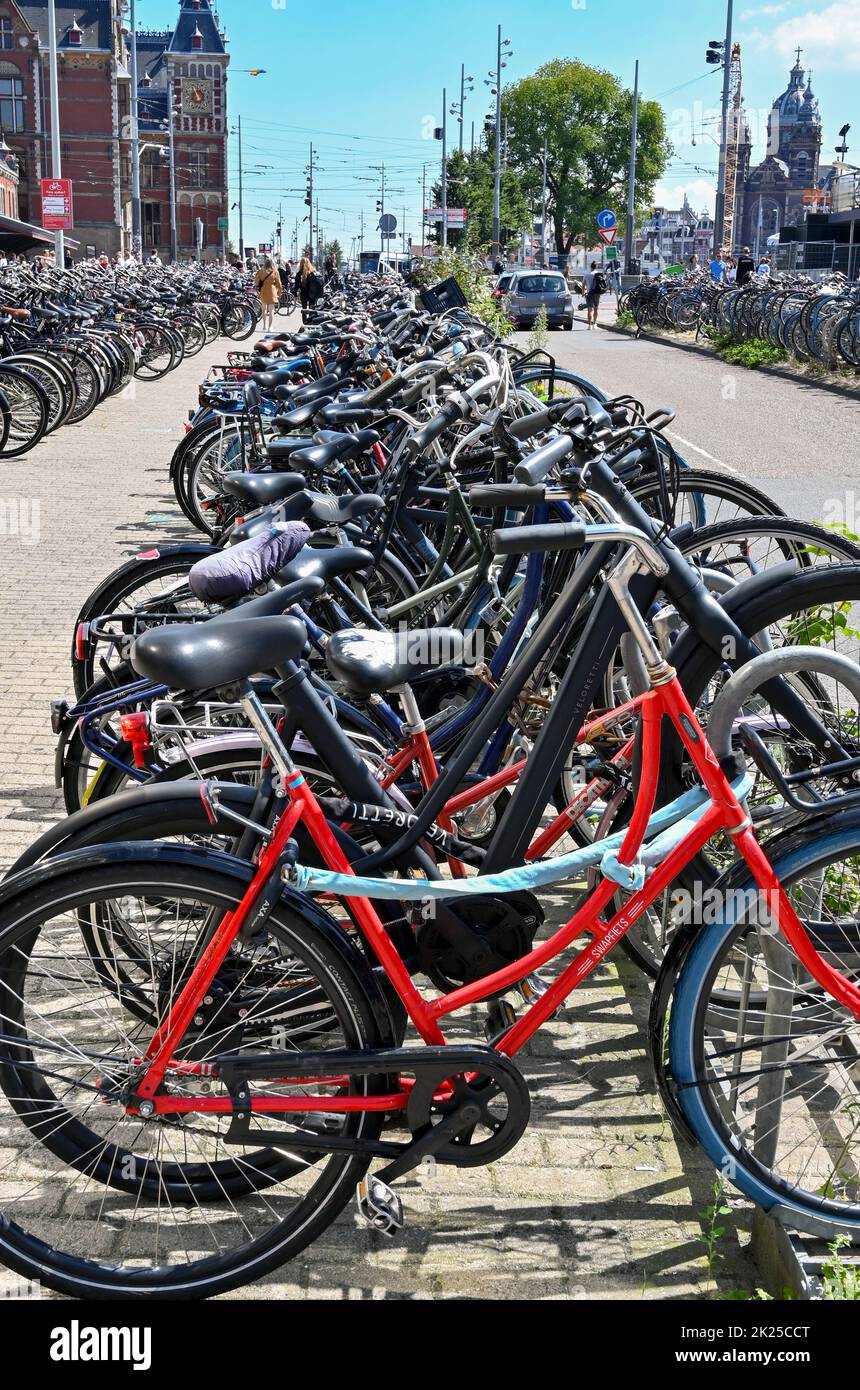 Amsterdam, Netherlands - August 2022: Row of bicycles in bicycle racks ...