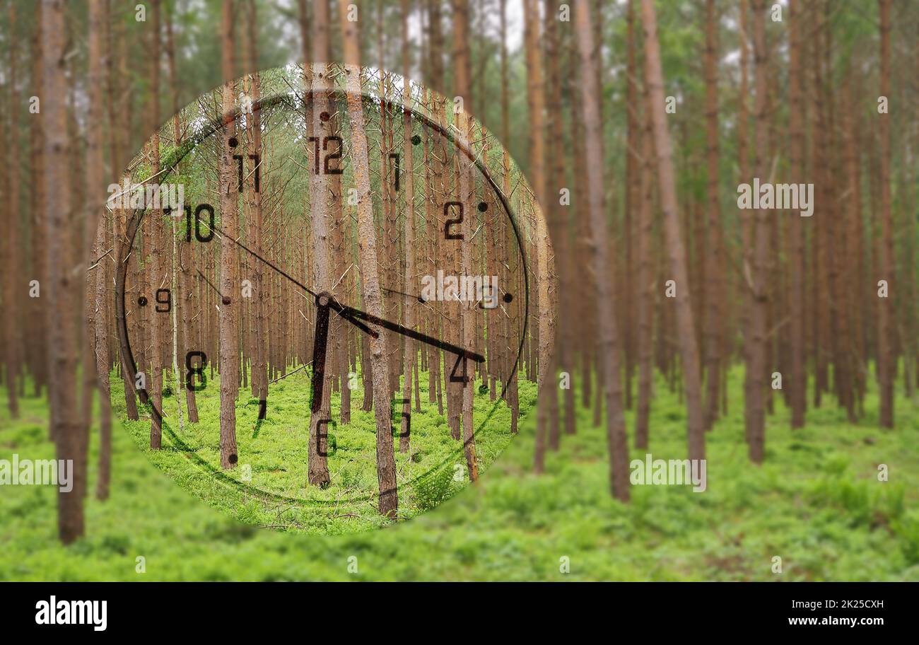 Its time concept hi-res stock photography and images - Alamy