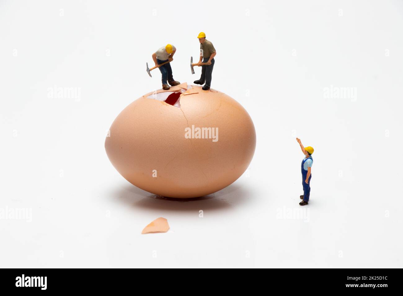 Workers open an egg Stock Photo - Alamy