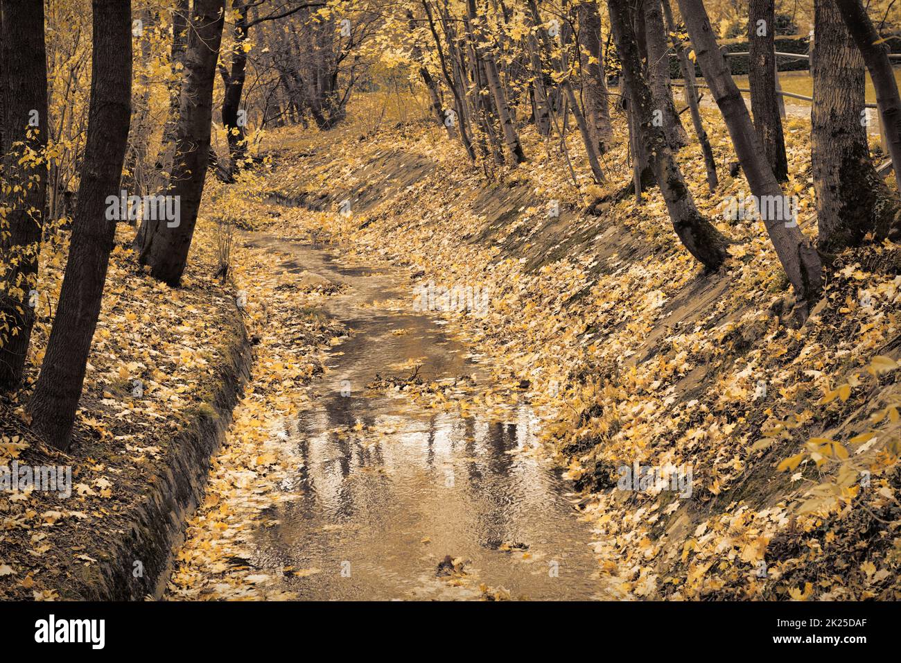 Warm autumnal light hi-res stock photography and images - Alamy